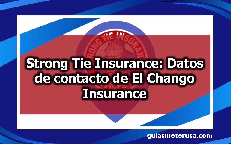 ᐈ Strong Tie Insurance: Datos de contacto de El Chango Insurance ...